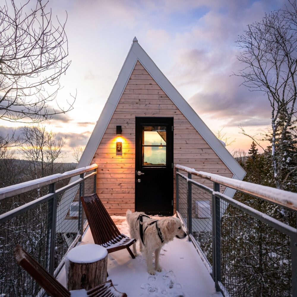 Quebec’s treetop chalet unveils a breathtaking haven for couples ...